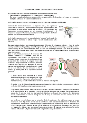 CONSIDERACIONES-I-MMSS.pdf