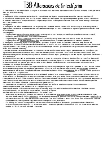 Tema-38.pdf