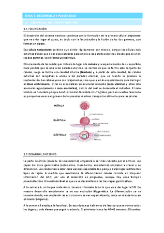 TEMA-5-DESARROLLO.pdf