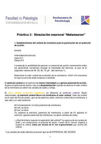 PREGUNTAS-PRACTICA-METANEURON.pdf