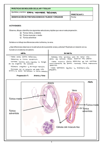 Guion-practica-3.pdf