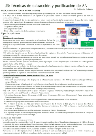 Bmc-U3.pdf