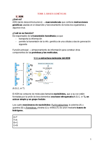 TEMA-3.-BASES-GENETICAS.pdf