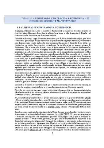 TEMA-8.pdf