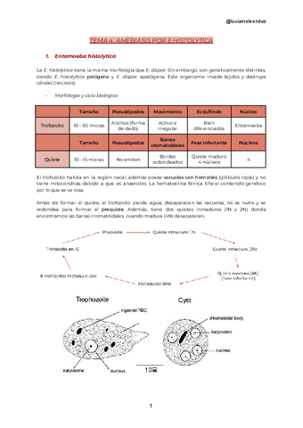 Tema-4.-Amebiasis-por-E.-Histolytica.pdf