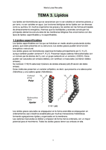 TEMA-3.-Lipidos.pdf