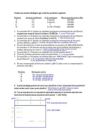 Model-Activitat-Avaluable-2024-RESOLT.pdf