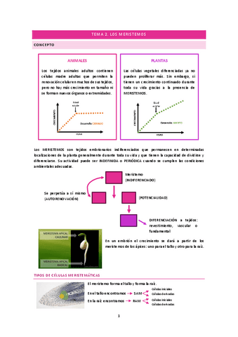 TEMA-2-COMPLETO.pdf