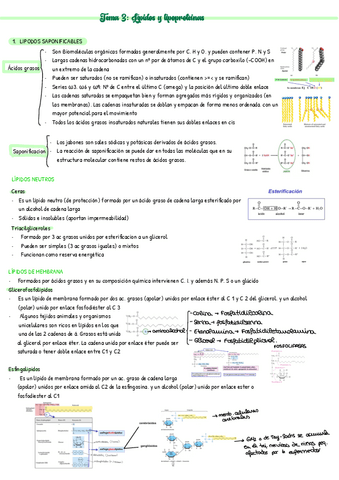Bioquimica-tema-3-lipidos.pdf