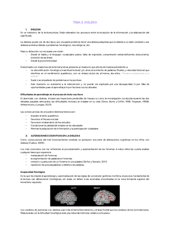Tema-3.-Dislexia.pdf