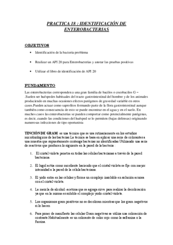 PRAC-18-MICRO.pdf