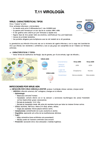 T11-comunitaria.pdf