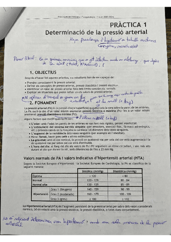 Practiques-guio-solucions.pdf