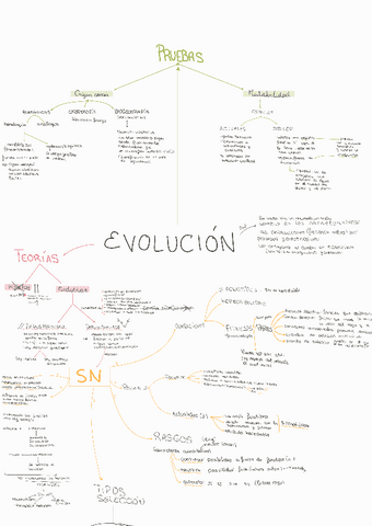 Esquema-tema-1-y-2-BLOQUE-1-I.pdf