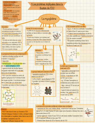 Biochimie-Cours-3-Fiche.pdf