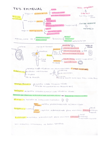 Esquemas-practicas-histo-COMPLETOS.pdf