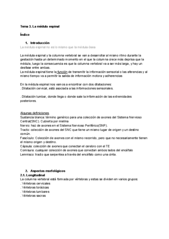 Tema-3.-La-medula-espinal.pdf