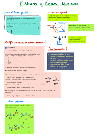 Protidos-y-Acidos-Nucleicos.pdf