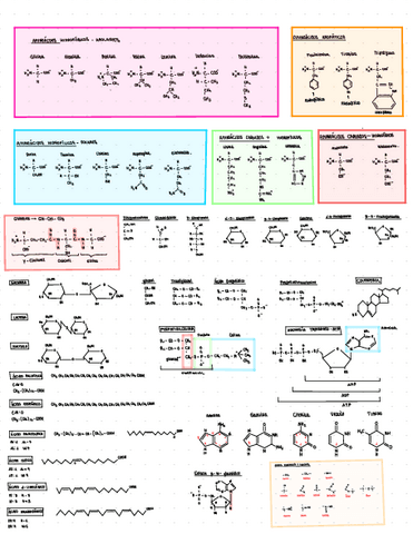 TODAS-LAS-FORMULAS-BIOQUIMICA.pdf