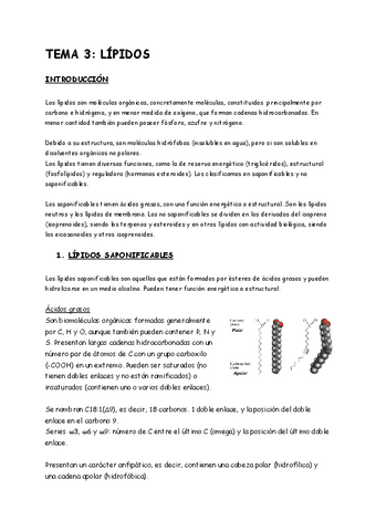 Tema-3-lipidos.pdf