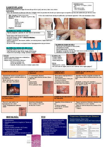 TABLA-LIQUEN-PLANO.pdf
