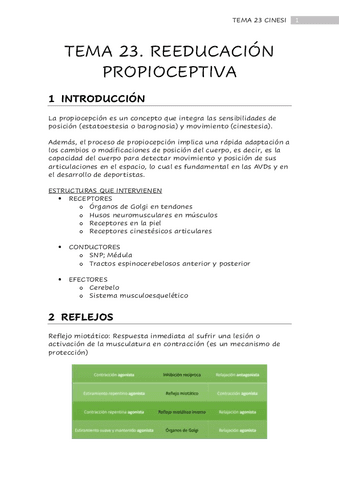 TEMA-23-CINESI.pdf