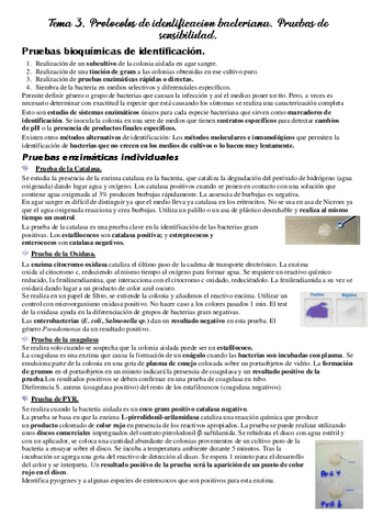 Tema-3-Protocolo-de-identificacion-bacteriana.pdf