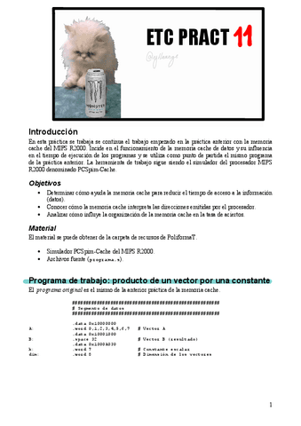 PL11-ETC-COMPLETA.pdf
