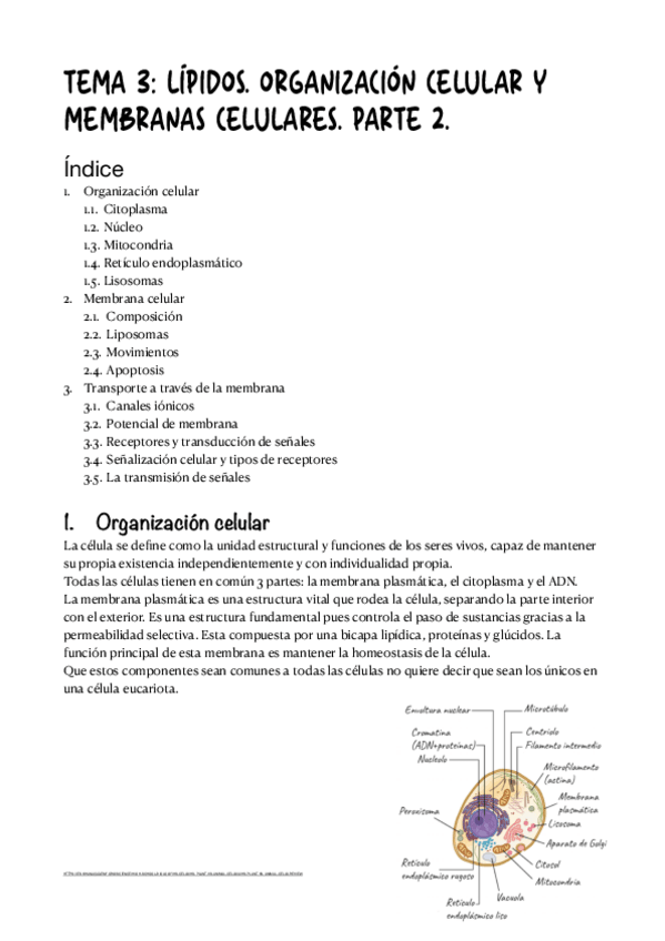 Bioquimica-T3.-Parte-2-y-3..pdf